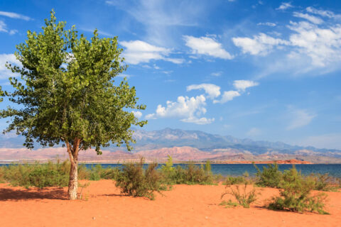 Sand Hollow State Park Visitors Guide | Settler's Junction RV